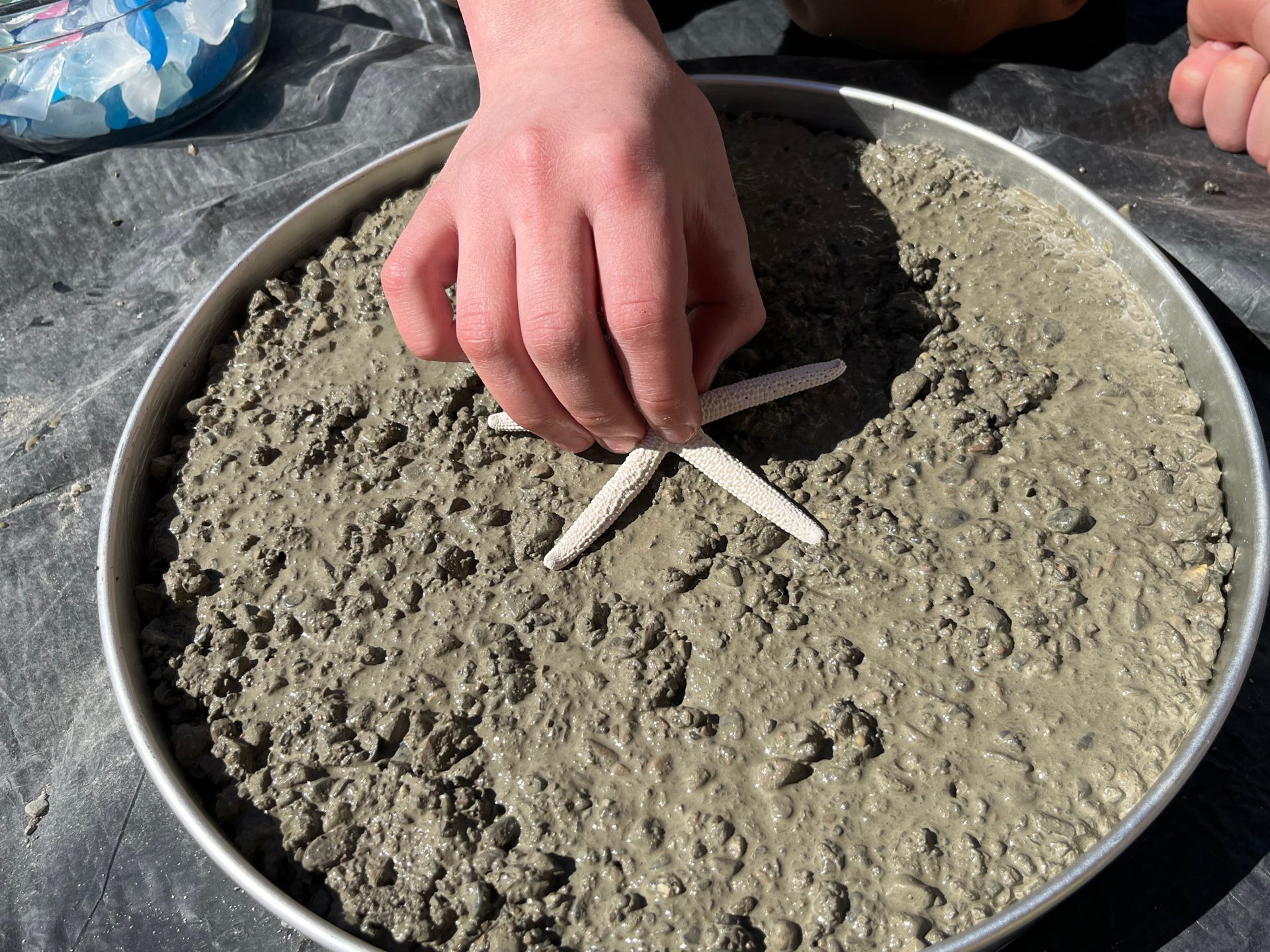 DIY: How to Make Garden Stepping Stones with Shells