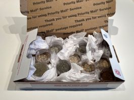 Become a Psammophile and Collect Sand - Rock & Gem Magazine