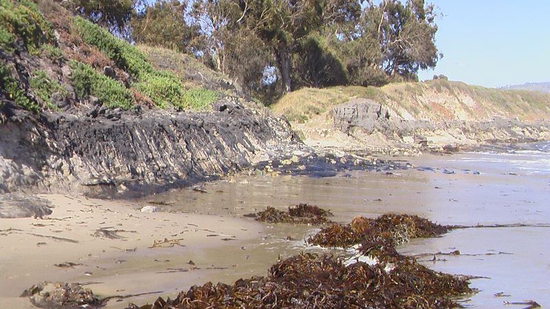Sticky Asphalt at Carpinteria State Beach - Rock & Gem Magazine