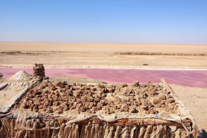 Desert Rose: Meet Tunisia’s Rock Roses - Rock & Gem Magazine