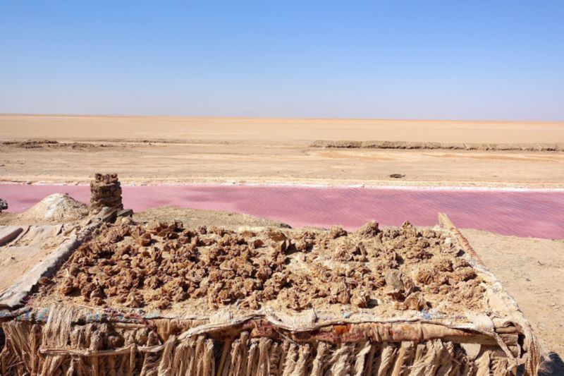 Desert Rose: Meet Tunisia’s Rock Roses - Rock & Gem Magazine