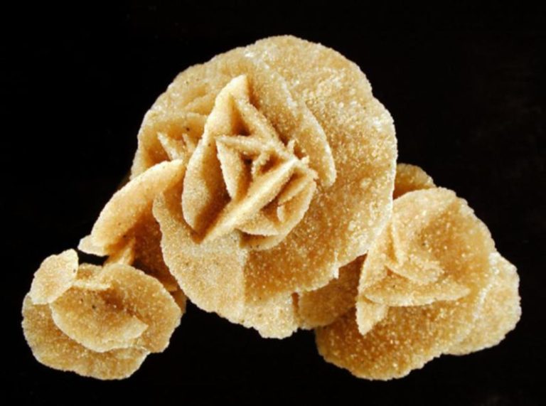 Desert Rose: Meet Tunisia’s Rock Roses - Rock & Gem Magazine