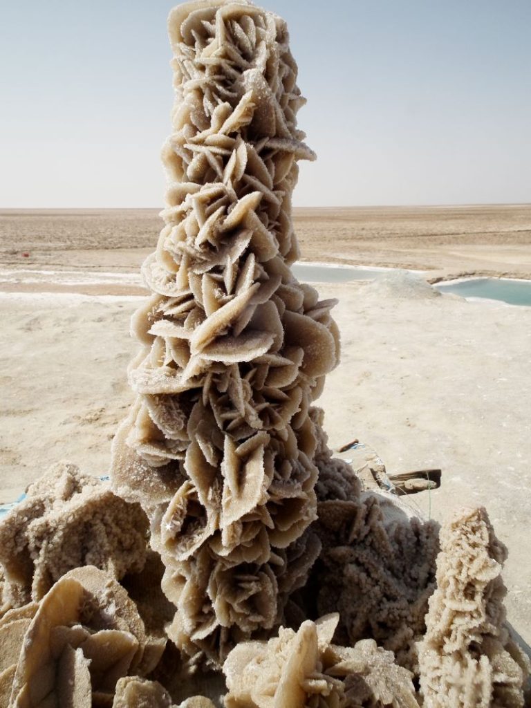Desert Rose: Meet Tunisia’s Rock Roses - Rock & Gem Magazine