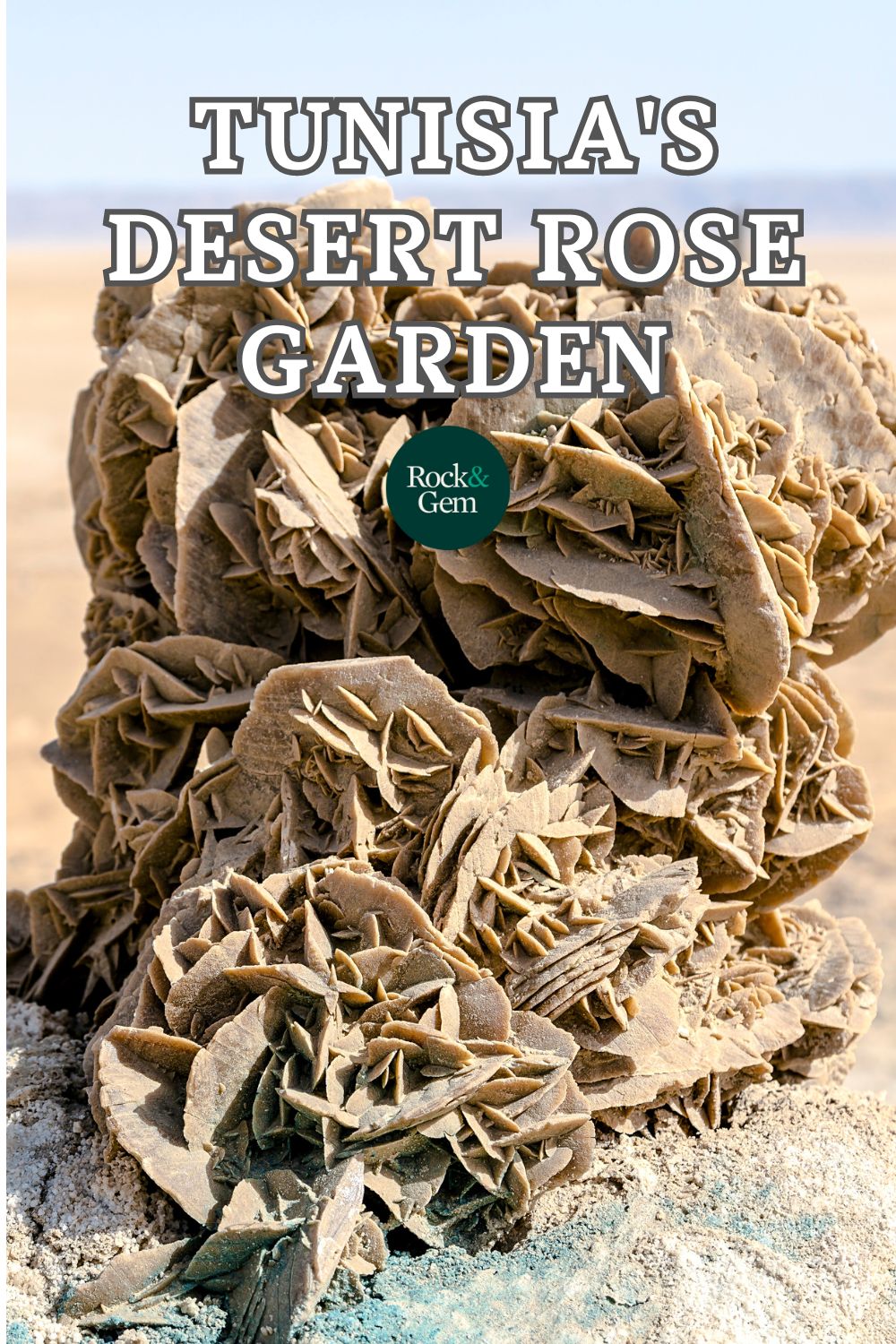 Desert Rose: Meet Tunisia’s Rock Roses - Rock & Gem Magazine
