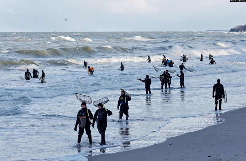 Rock Science: Minerals in Beach Sand - Rock & Gem Magazine