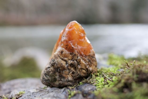 Rock Collecting Via Kayak - Rock & Gem Magazine