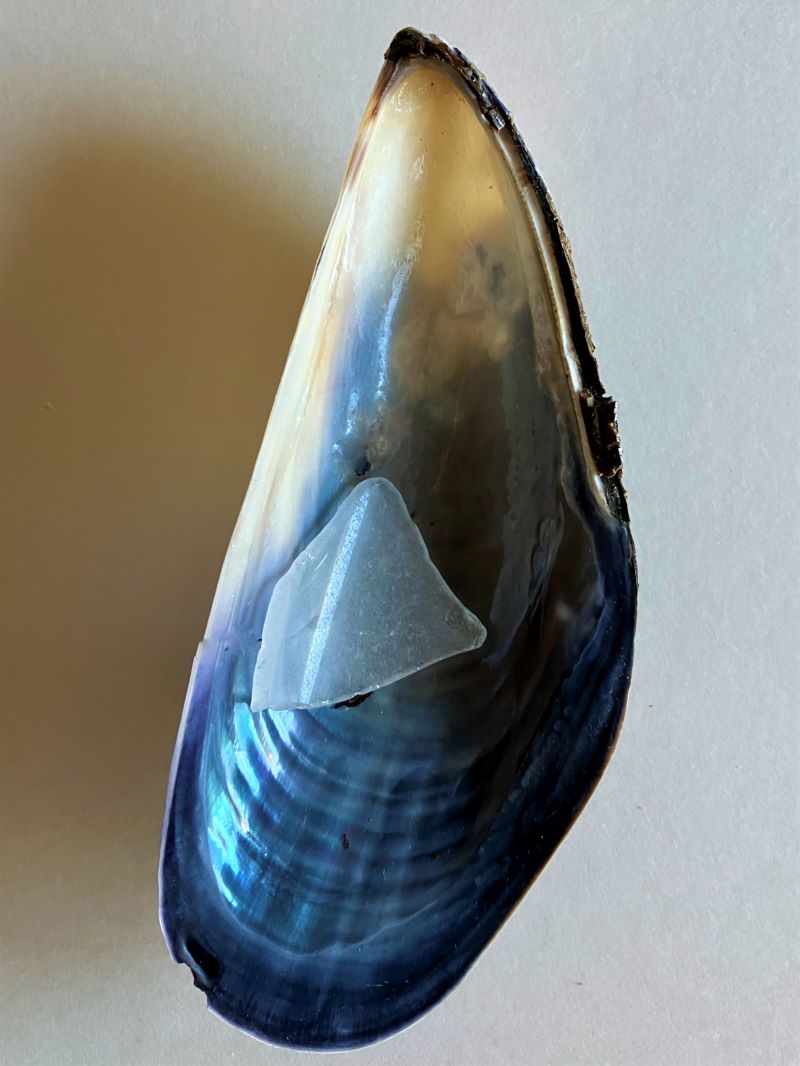 Mussel Shells: Using Nacre to Make a Beach Opal - Rock & Gem Magazine