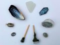 Mussel Shells: Using Nacre to Make a Beach Opal - Rock & Gem Magazine