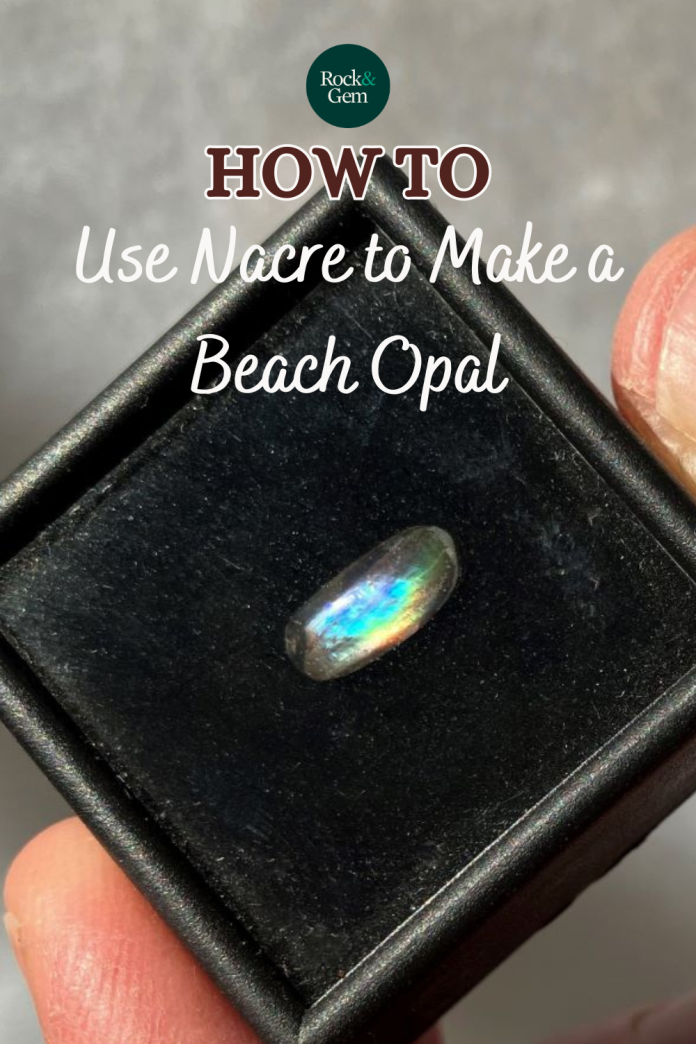 Mussel Shells: Using Nacre to Make a Beach Opal - Rock & Gem Magazine