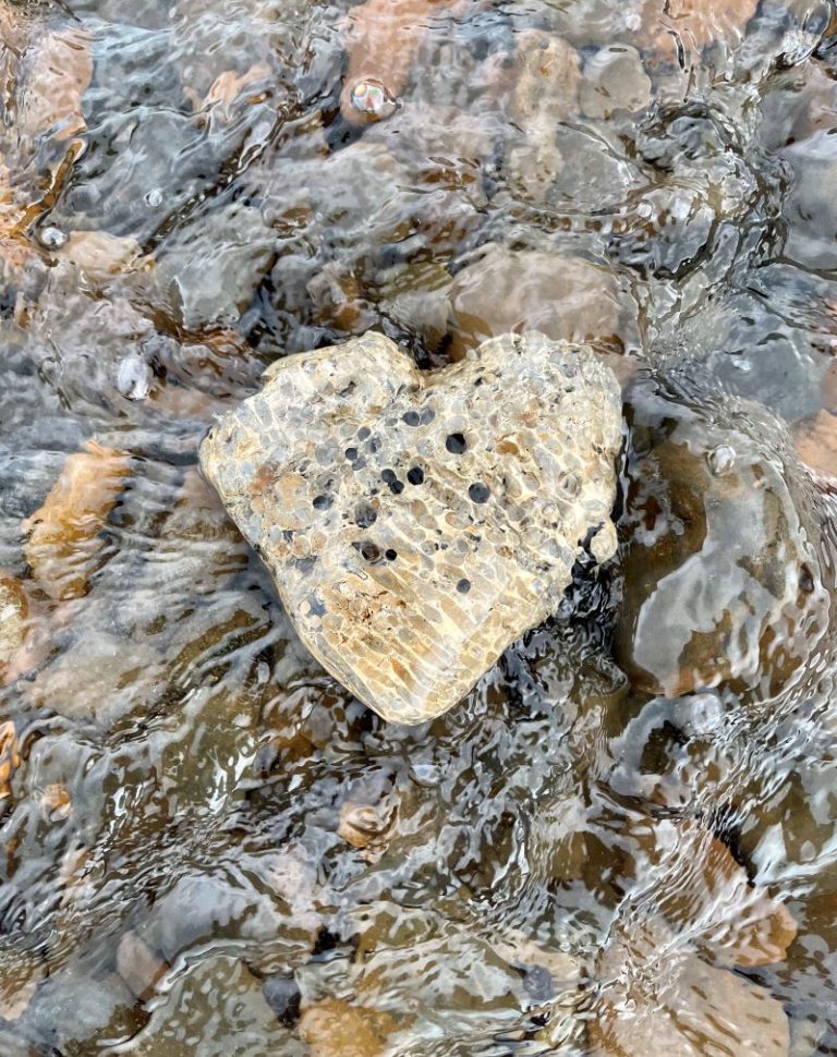 Oregon Coast Rockhounding - Rock & Gem Magazine