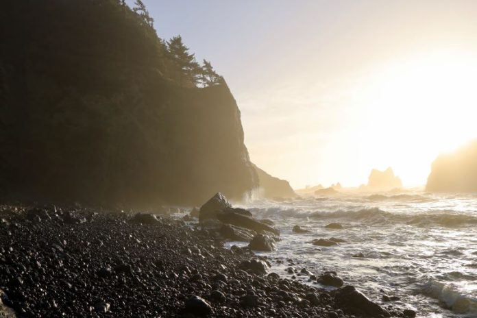 Oregon Coast Rockhounding - Rock & Gem Magazine