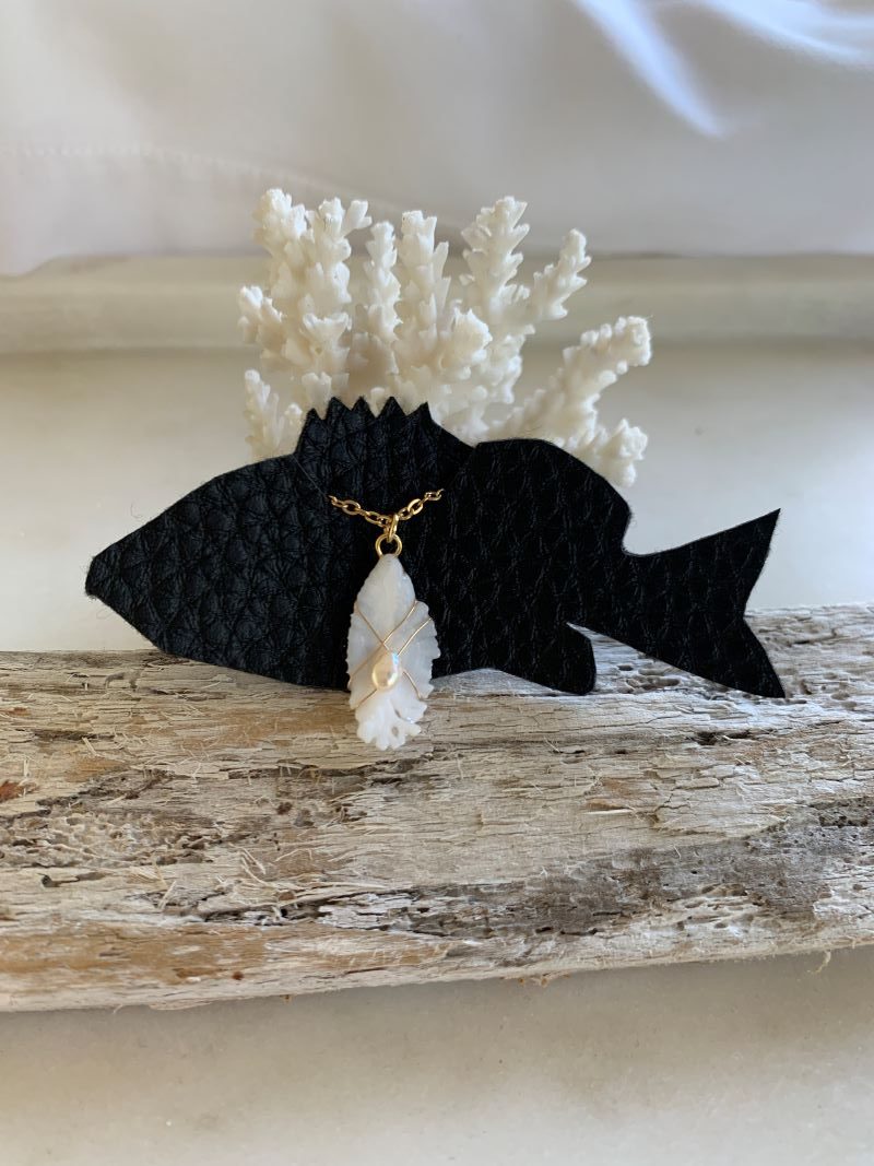 Otoliths: Fishing for Rocks - Rock & Gem Magazine