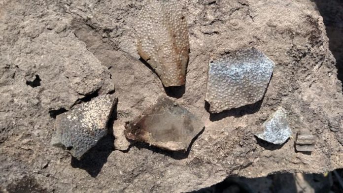 Placoderms: Armored Fish of the Devonian - Rock & Gem Magazine