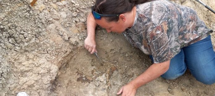 Digging for Triceratops Dinosaur Fossils - Rock & Gem Magazine