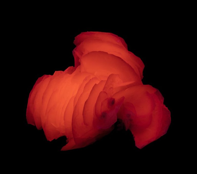 UV Rocks: A Guide Fluorescent Minerals - Rock & Gem Magazine