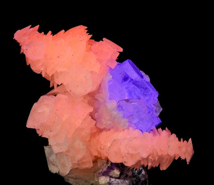 UV Rocks: A Guide Fluorescent Minerals - Rock & Gem Magazine