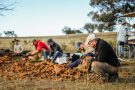 Microfossils – Citizen Scientists Uncover Links to the Past