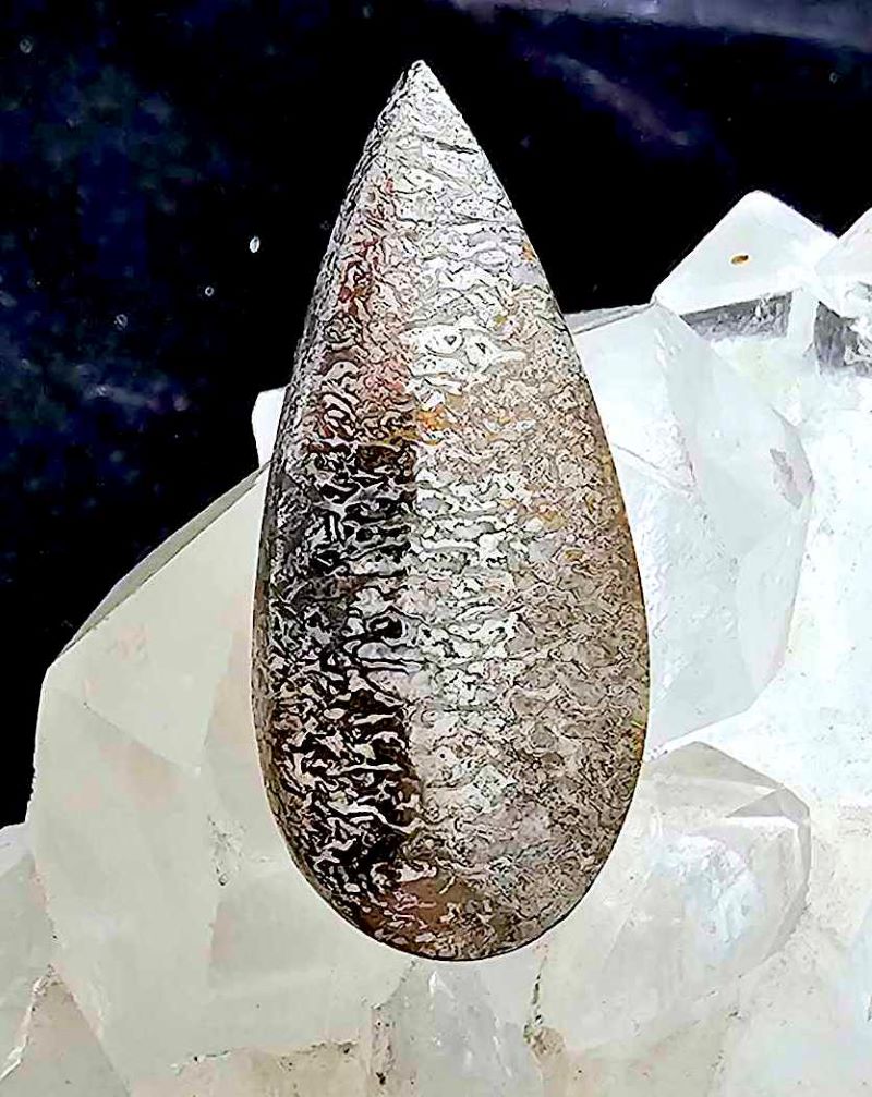 Pyritized Dinosaur Bone Fossil: What to Cut - Rock & Gem Magazine