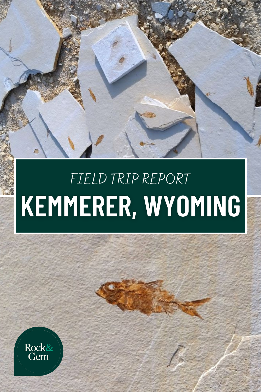 Searching Kemmerer Fossils for Fossil Fish - Rock & Gem Magazine