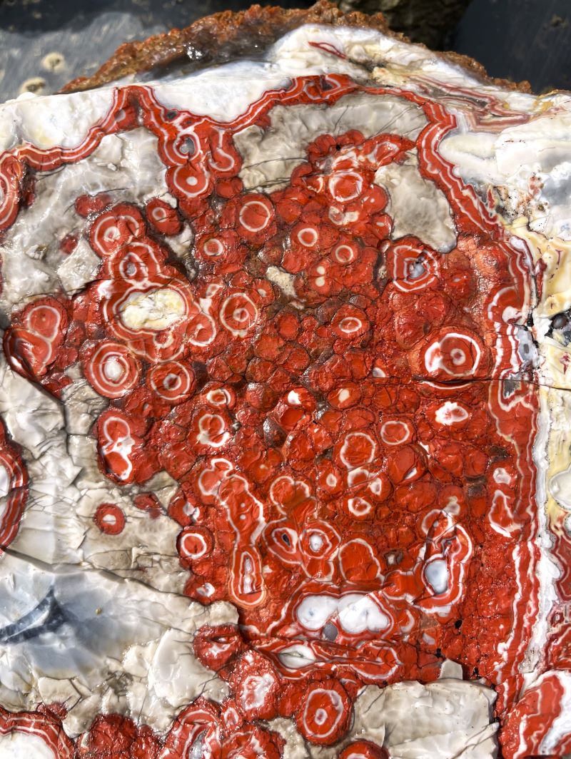 Kentucky Agate: Breaking Into the Big Leagues - Rock & Gem Magazine