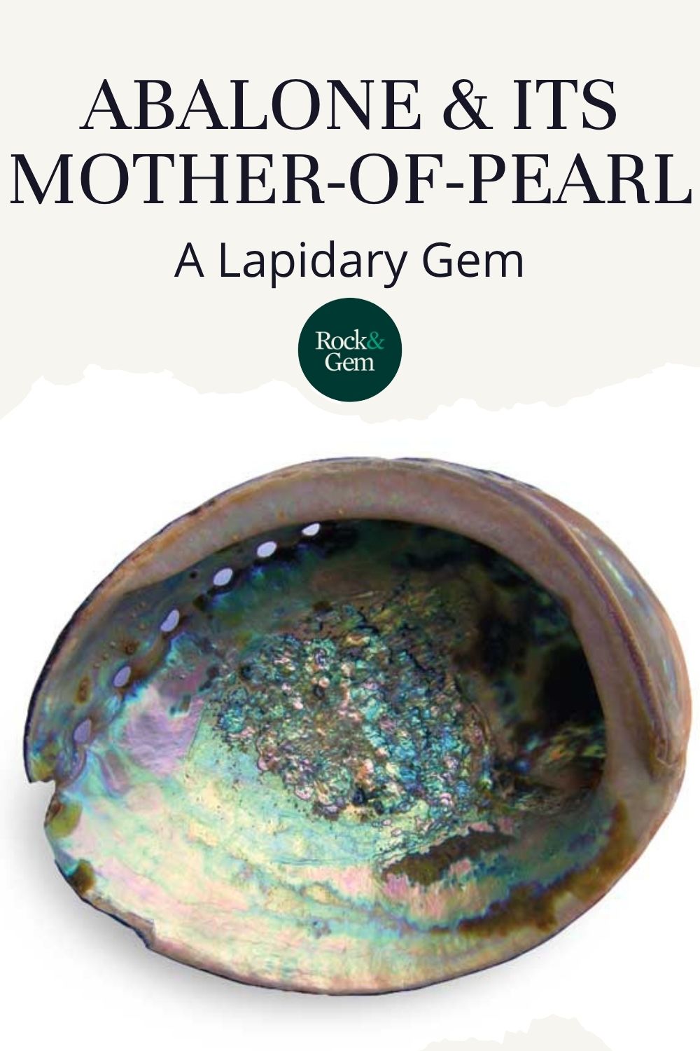 Abalone & Its Mother-of-Pearl: A Lapidary Gem