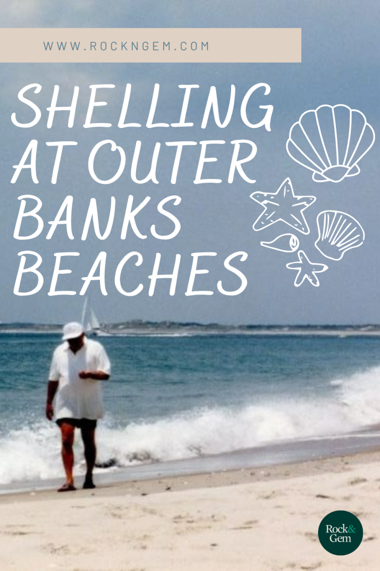 Outer Banks Shelling: Best Beaches & Rare Finds