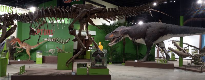 Indiana Dinosaur Museum Opens in South Bend - Rock & Gem Magazine