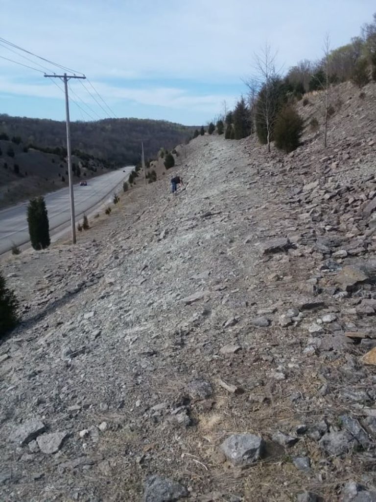 St. Leon, Indiana Fossils: A Collector’s Dream Site