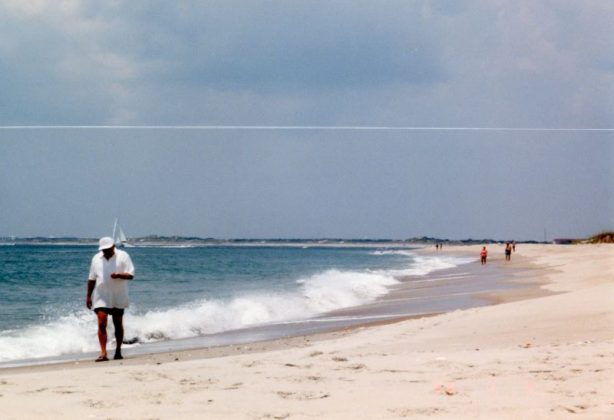 Outer Banks Shelling: Best Beaches & Rare Finds