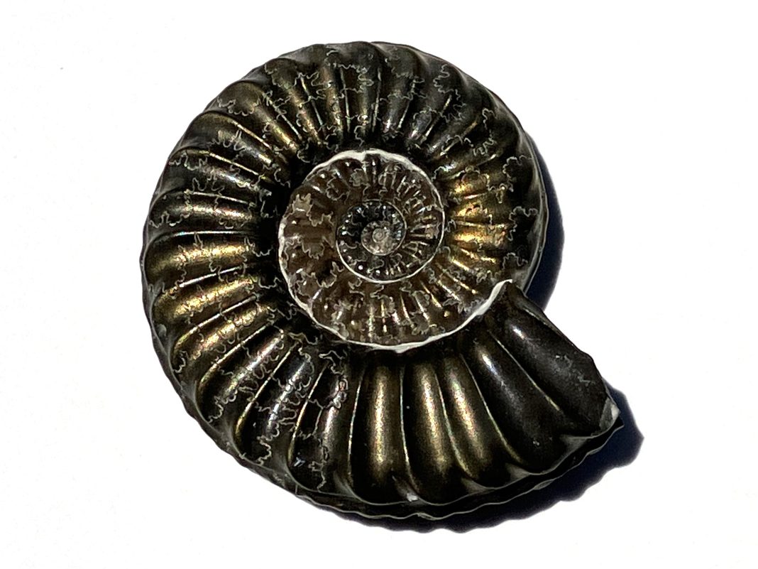 Pyrite Mineral: Fool’s Gold Shines Bright - Rock & Gem Magazine