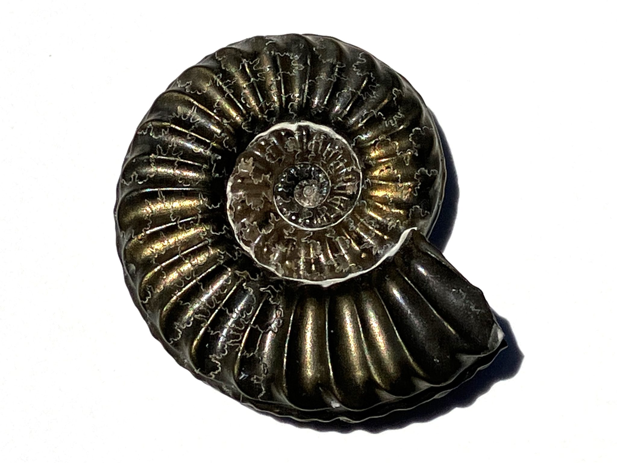 Pyrite Mineral: Fool’s Gold Shines Bright - Rock & Gem Magazine