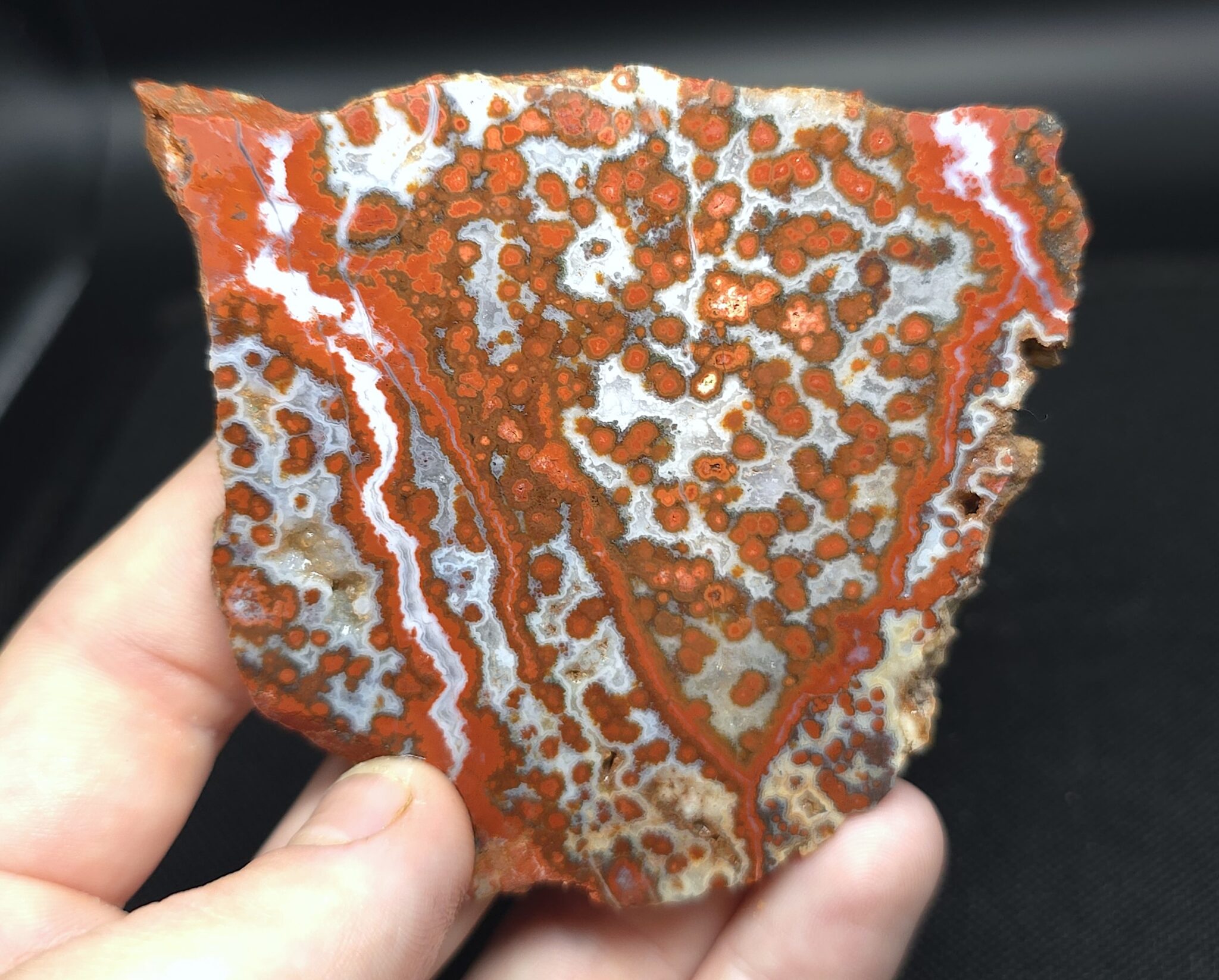 Duncan Poppy Jasper: Cabbing Guide - Rock & Gem Magazine