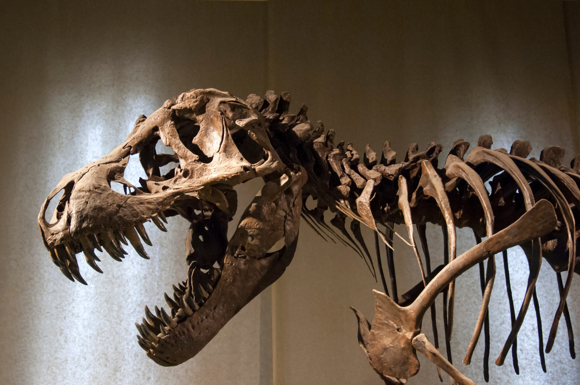 List of State Dinosaurs - Rock & Gem Magazine